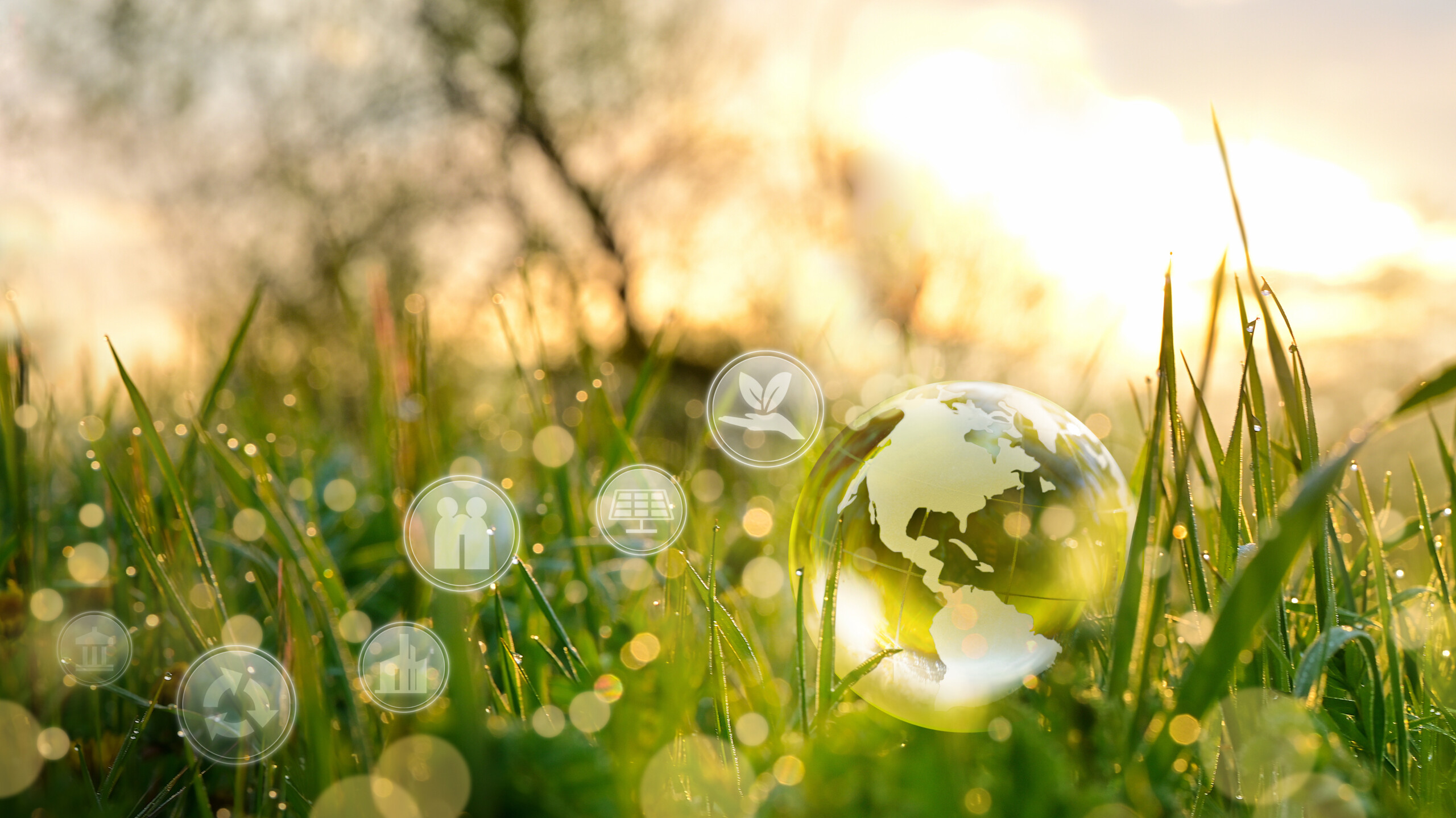 La RSE : L’intégration des enjeux sociétaux et environnementaux au cœur ...